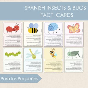 Spanish Insects and Bugs Fact Cards, Educational Cards, Printable ...