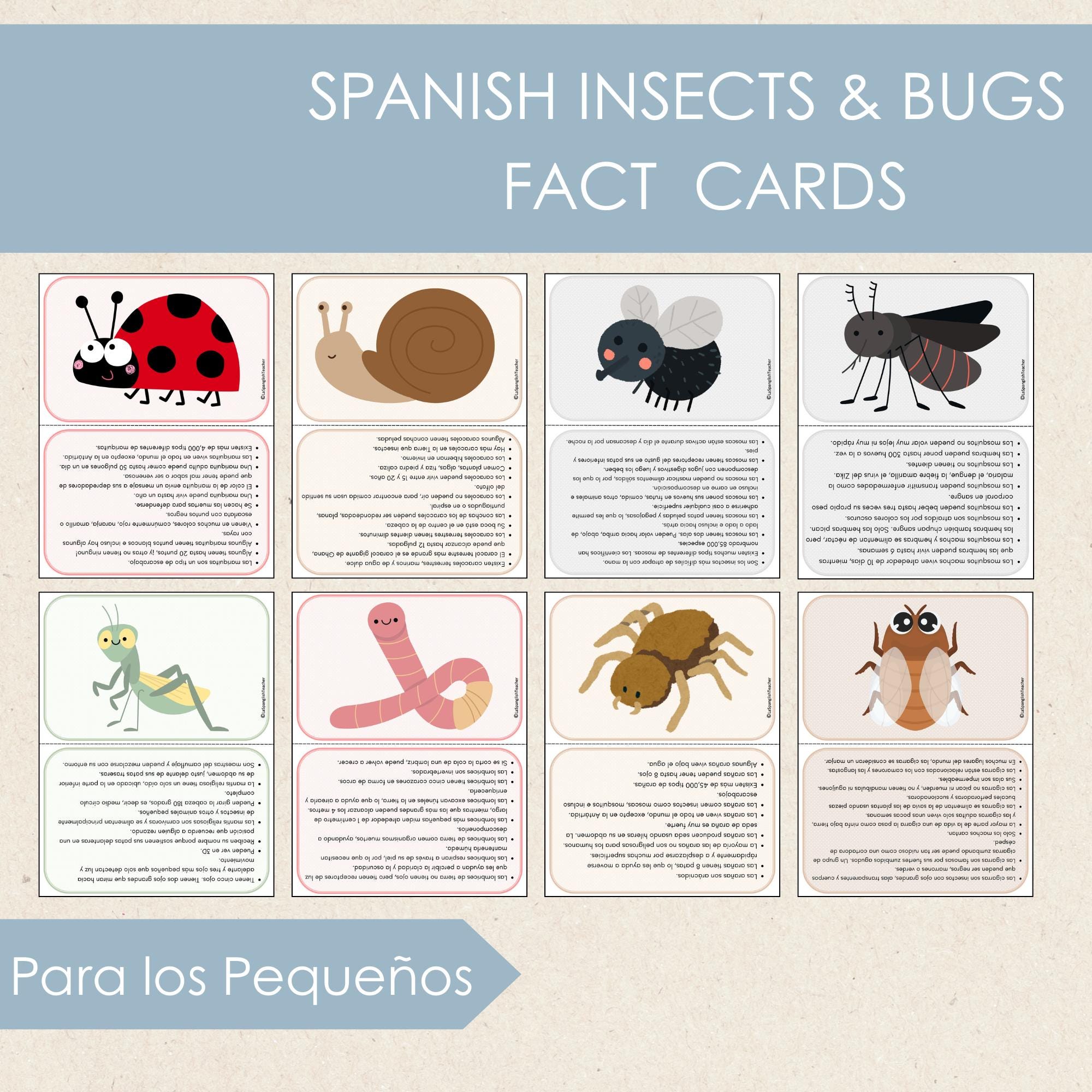 Spanish Insects and Bugs Fact Cards, Educational Cards, Printable ...
