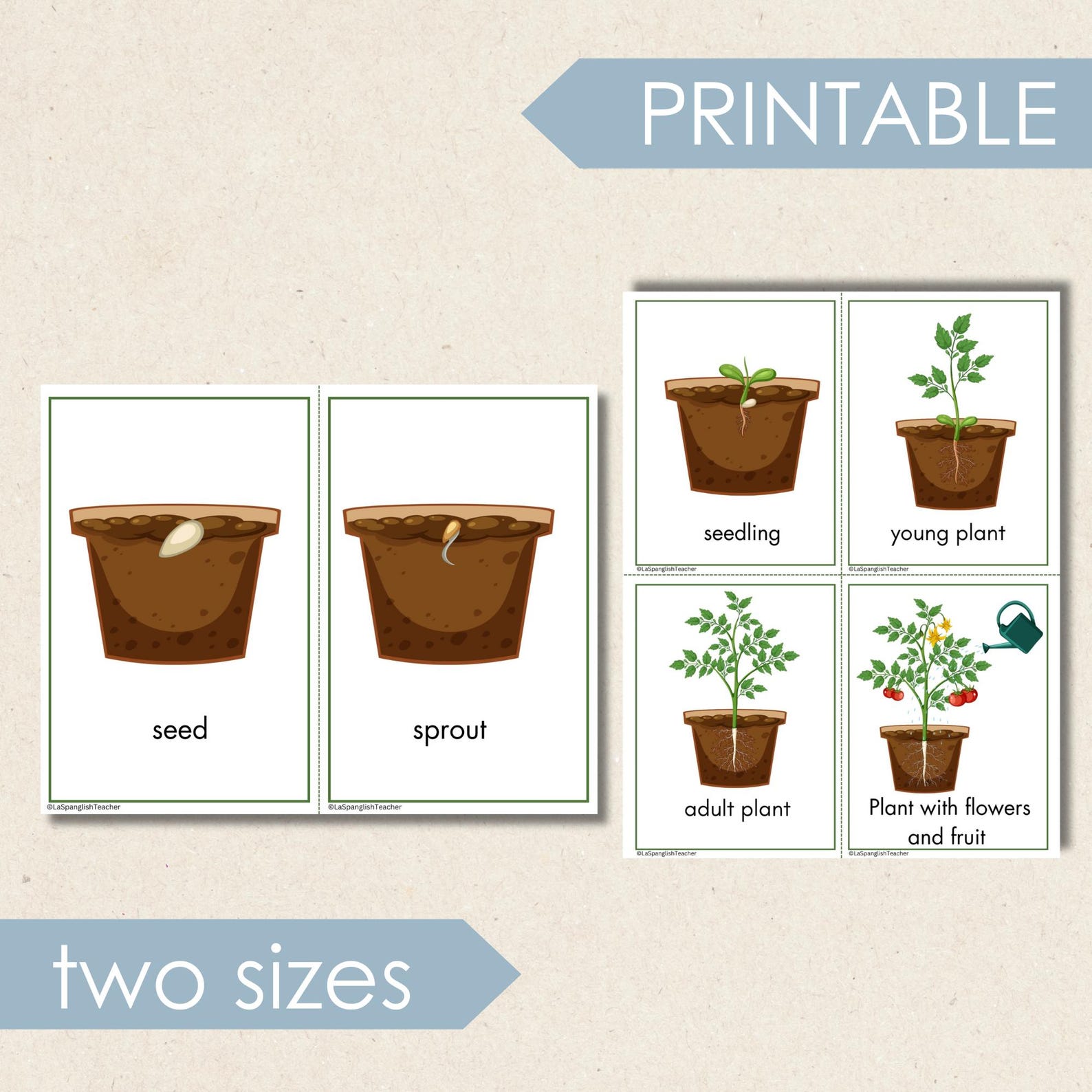 Plant Life Cycle Flashcards, Preschool Printables, Nature Study, Parts ...