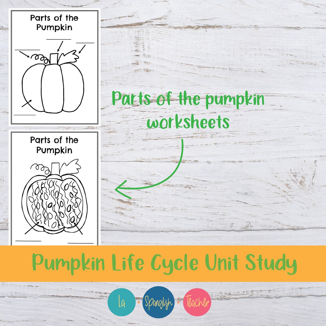 Pumpkin Unit Study Pumpkin Life Cycle Pumpkin Anatomy Mini - Etsy