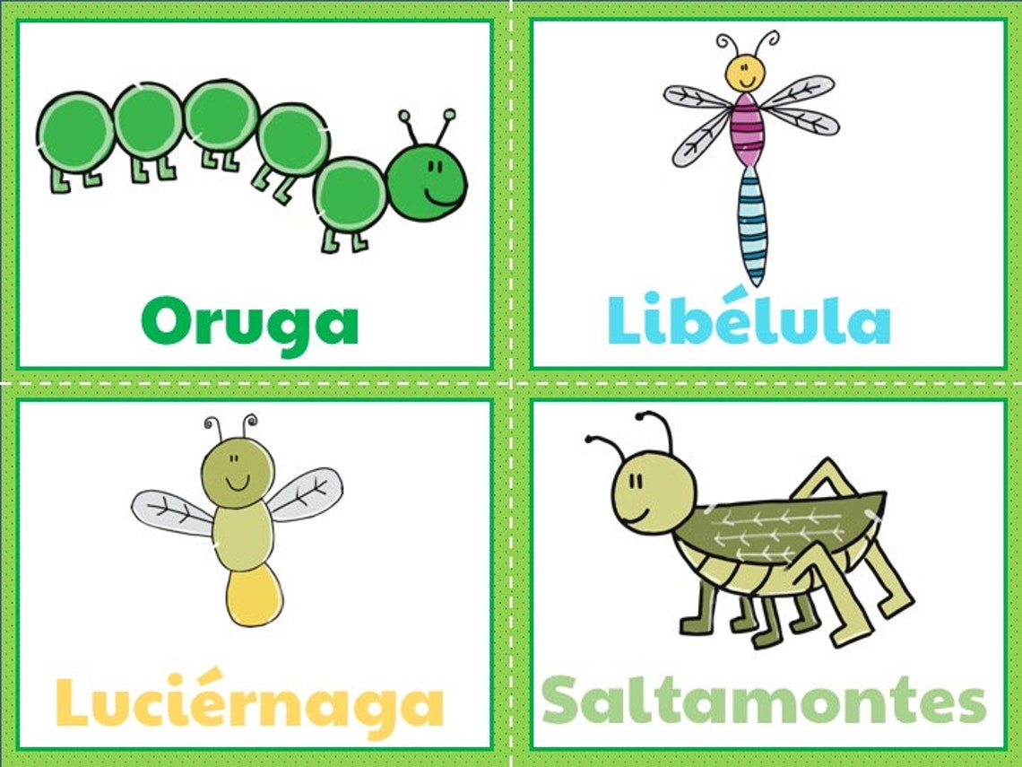 Spanish Bugs Printable Flashcards, Spanish Animal Vocabulary Cards ...