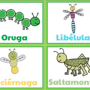 Spanish Bugs Printable Flashcards, Spanish Animal Vocabulary Cards ...