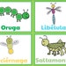 Spanish Bugs Printable Flashcards, Spanish Animal Vocabulary Cards ...