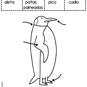 Arctic Animals Spanish Parts of the Body Posters, Winter Animals ...