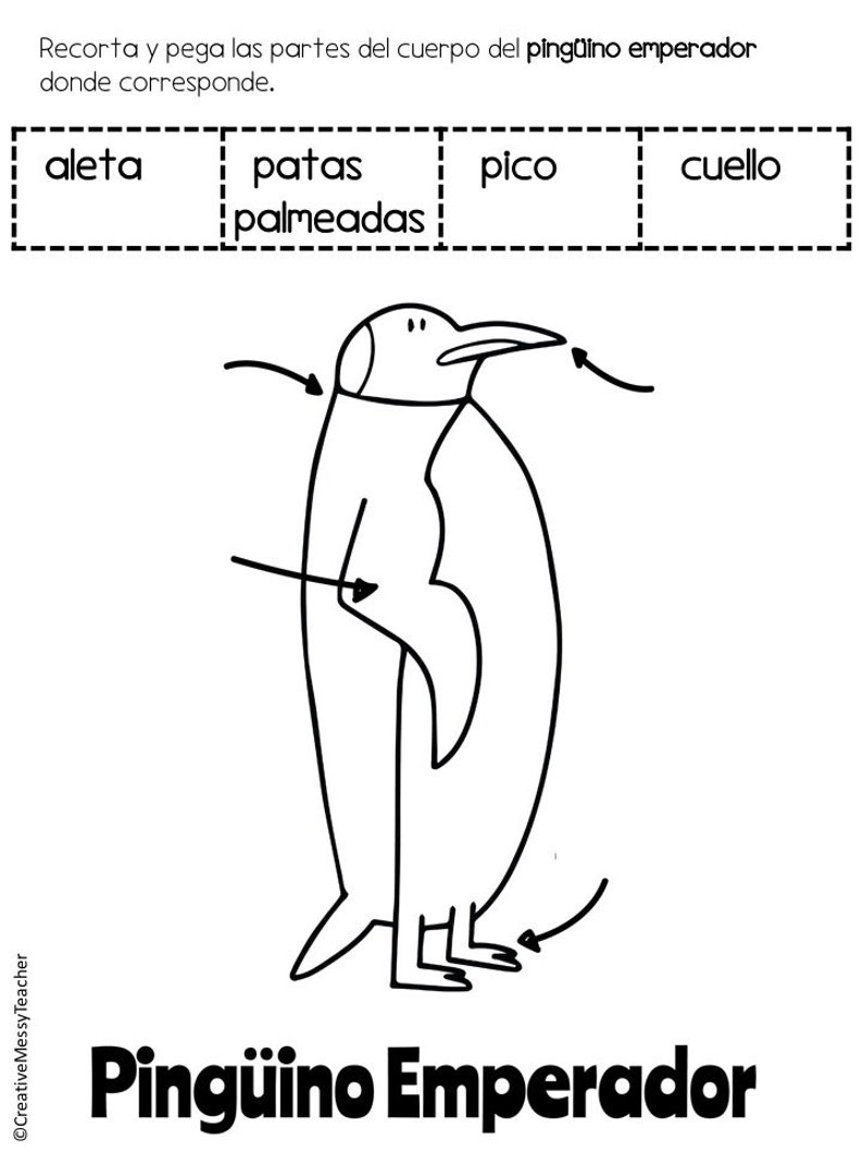 Arctic Animals Spanish Parts of the Body Posters, Winter Animals ...