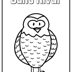Arctic Animals Spanish Coloring Pages, Winter Animals Coloring Pages ...
