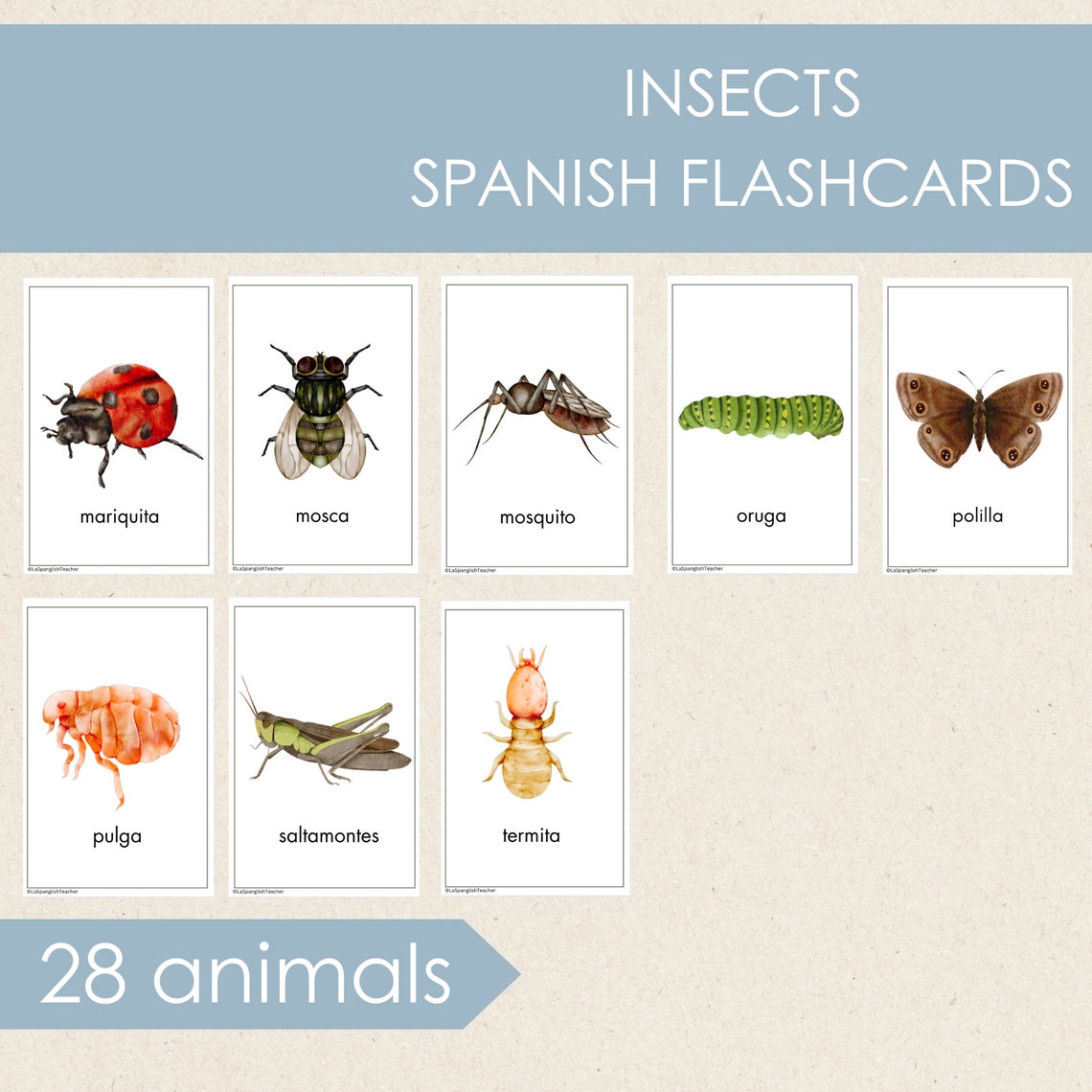 Spanish Insects Flash Cards, Spanish Animals Printable Cards ...
