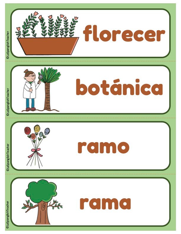 All About Plants Spanish Vocabulary Cards, Spanish Word Wall Cards ...