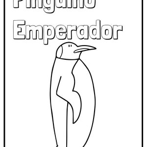 Arctic Animals Spanish Coloring Pages, Winter Animals Coloring Pages ...