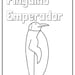 Arctic Animals Spanish Coloring Pages, Winter Animals Coloring Pages ...