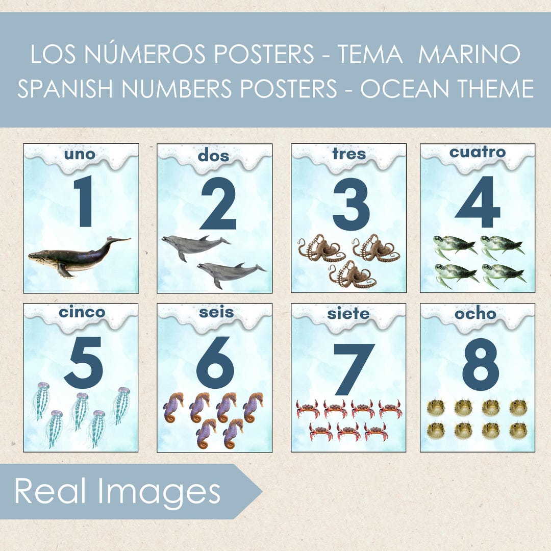 Spanish Numbers 1-20 Posters | Ocean Theme Classroom Decor (PDF) - Etsy UK