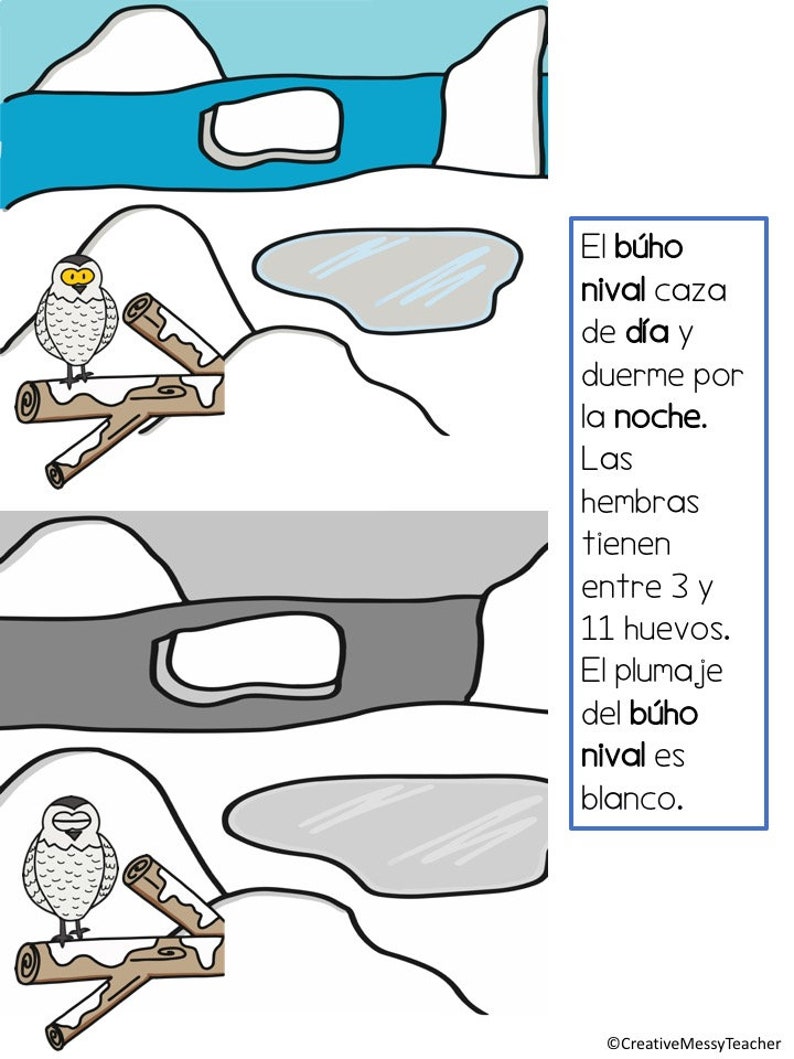 Arctic and Antarctic Animals Spanish Unit Study, Animales Del Artico ...