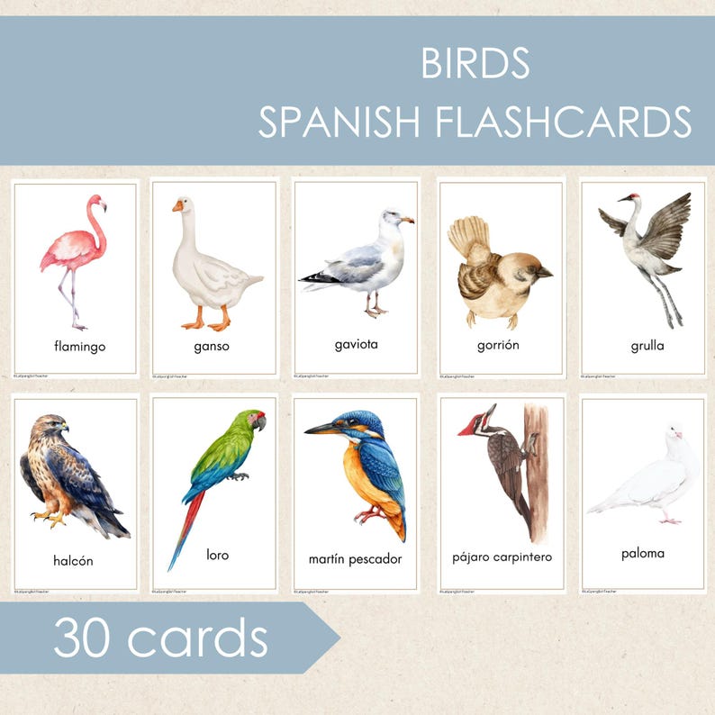 Spanish Birds Flashcards, Montessori Learning (printable) - Etsy