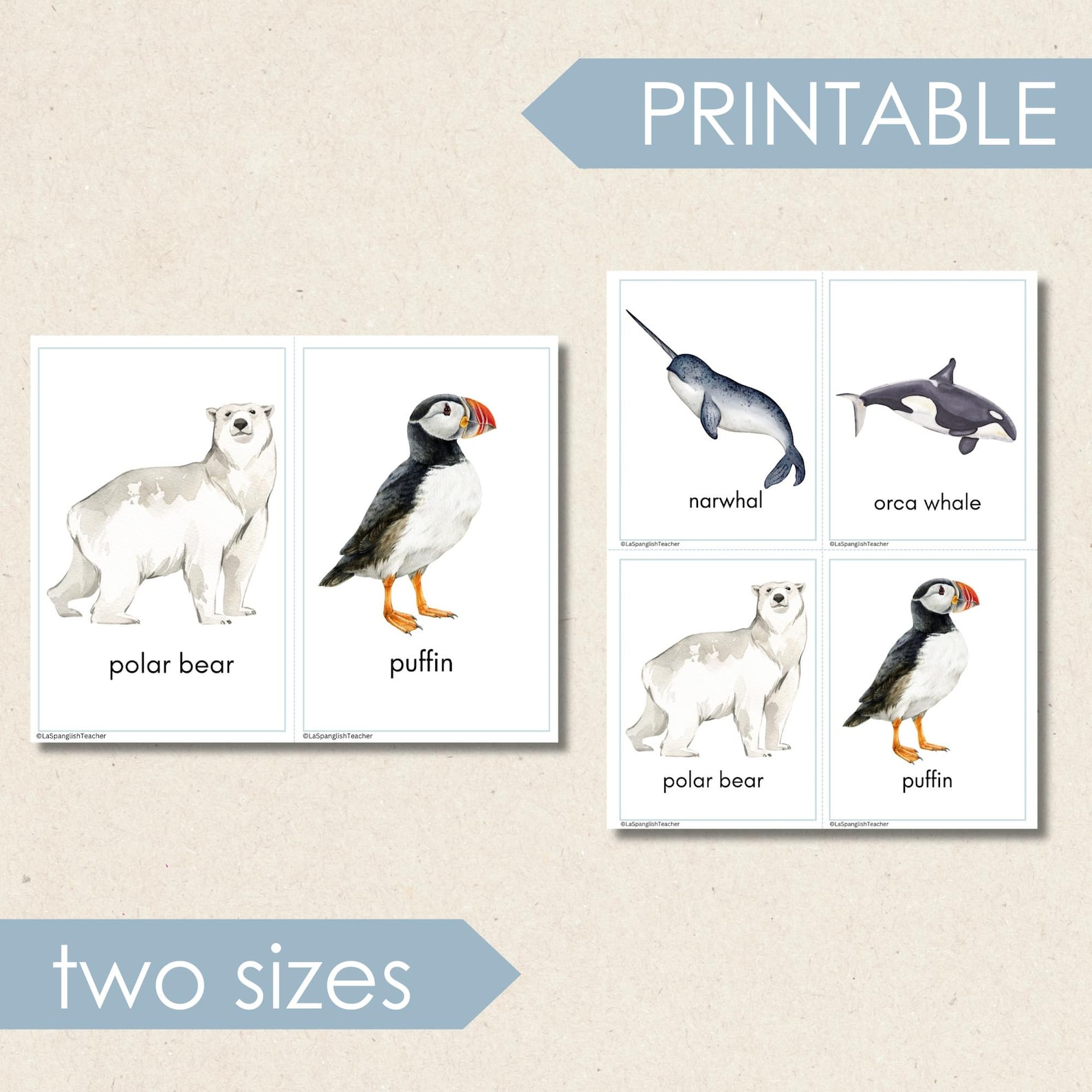 Arctic Animals Flashcards, Animal Vocabulary Cards, Winter Flashcards ...