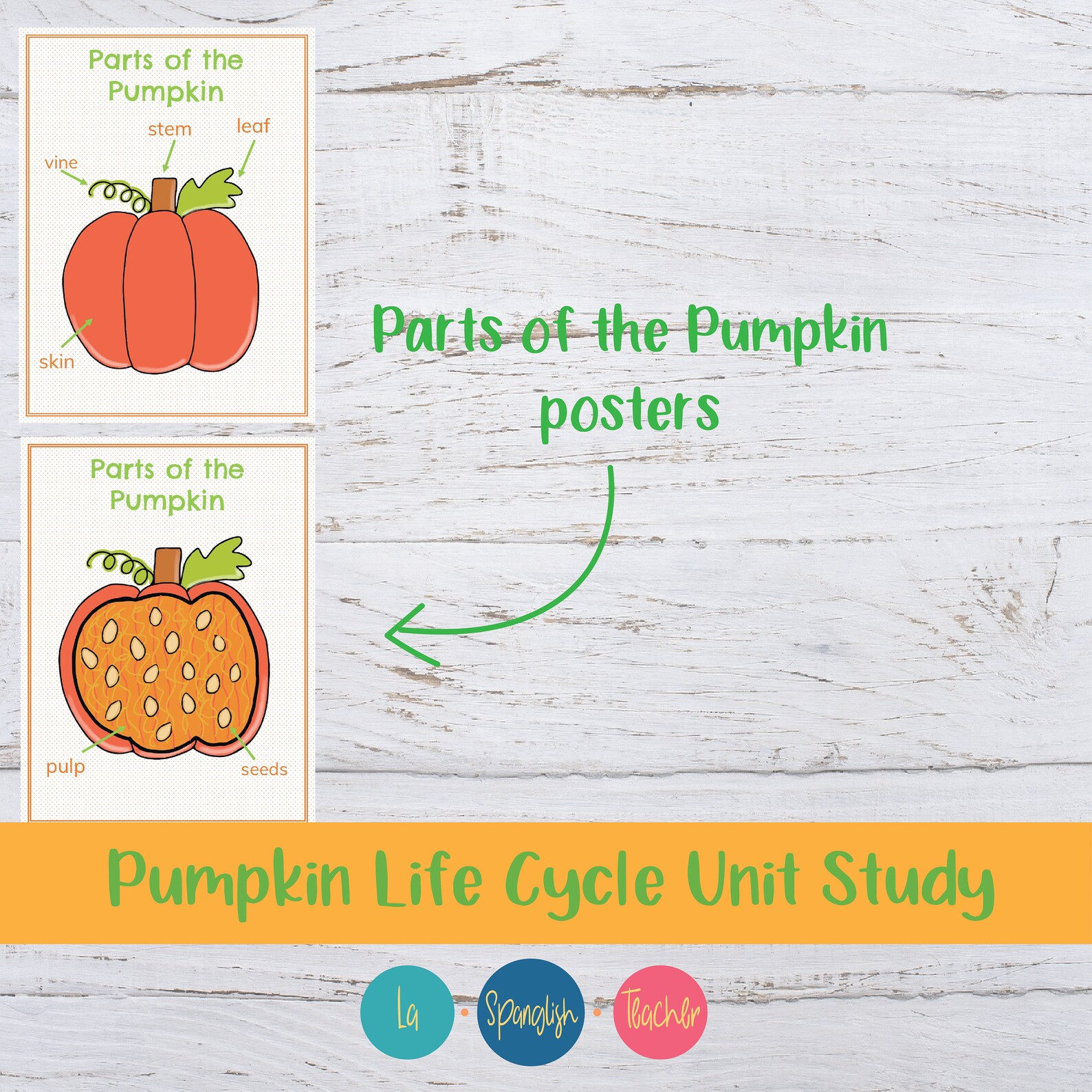 Pumpkin Unit Study, Pumpkin Life Cycle, Pumpkin Anatomy, Mini Unit ...