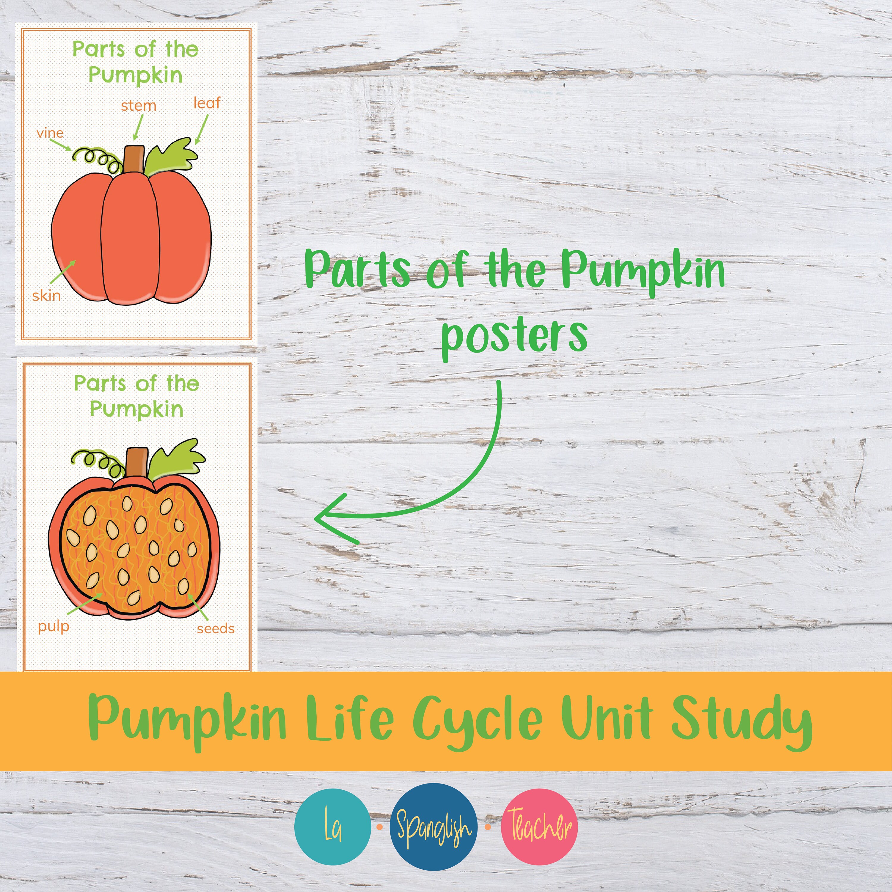 Pumpkin Unit Study, Pumpkin Life Cycle, Pumpkin Anatomy, Mini Unit ...