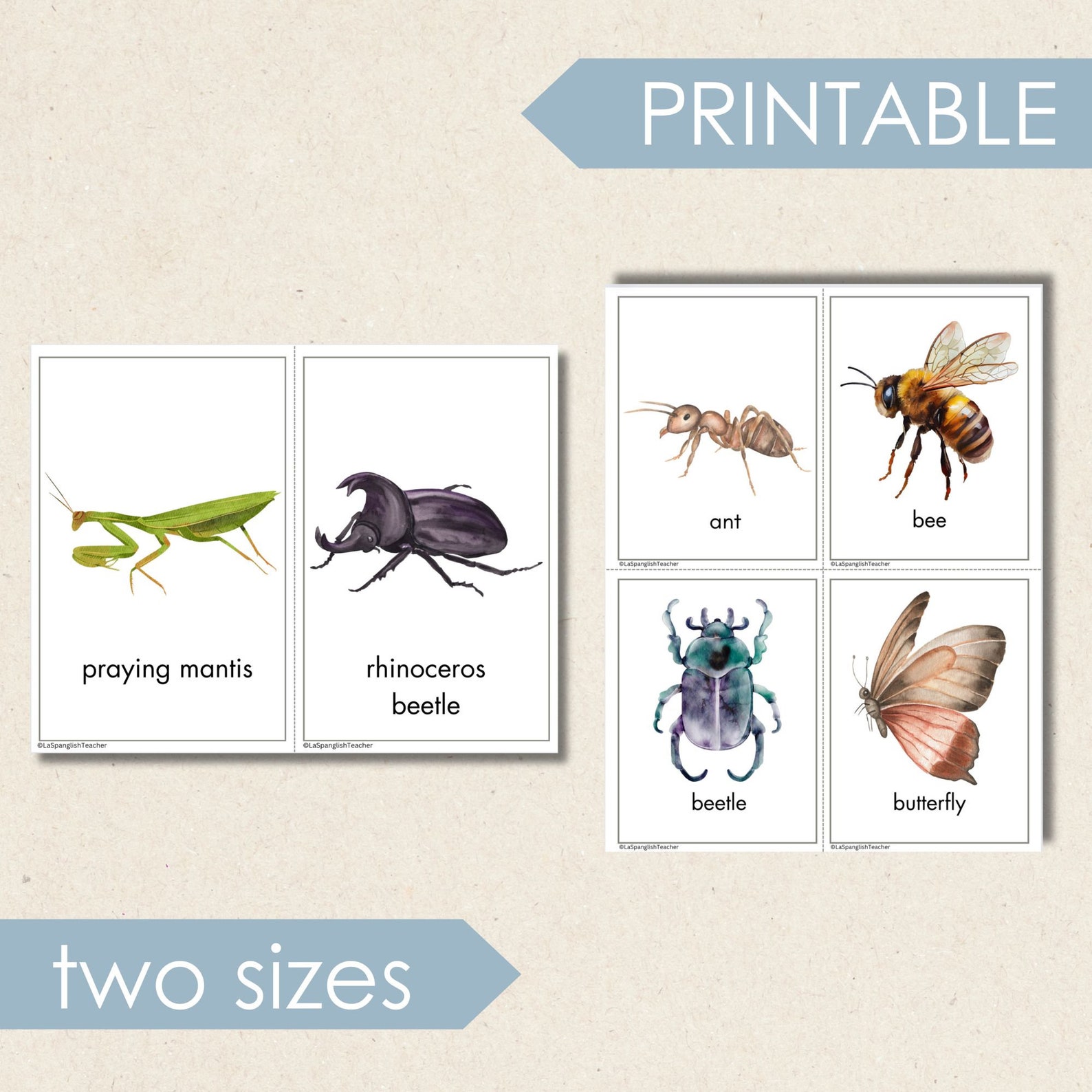 Insects Flash Cards, Animals Printable Cards, Educational Cards ...