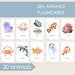 Spanish Sea Animals Printable Flashcards, Spanish Animal Vocabulary ...