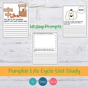 Pumpkin Unit Study, Pumpkin Life Cycle, Pumpkin Anatomy, Mini Unit ...
