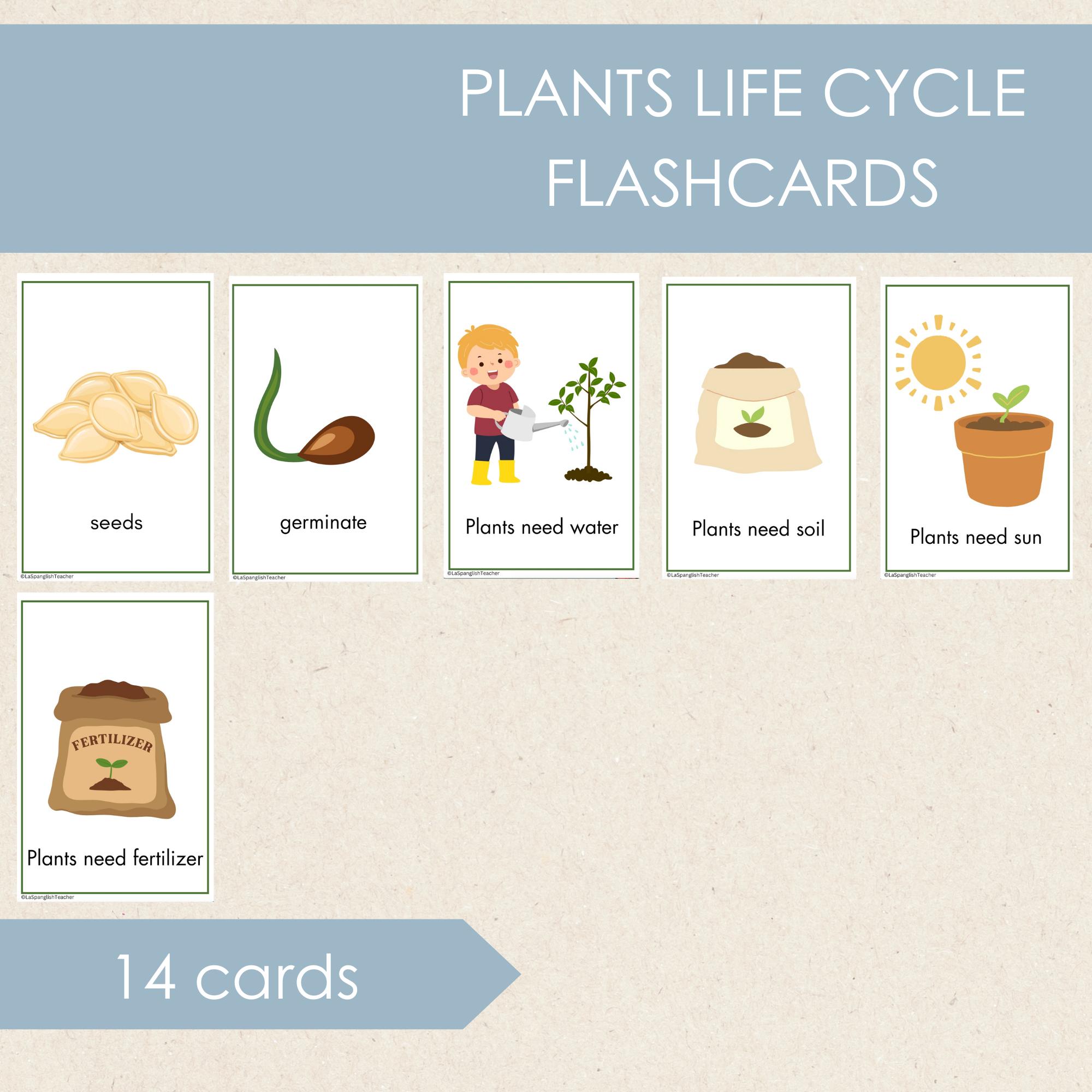 Plant Life Cycle Flashcards, Preschool Printables, Nature Study, Parts ...