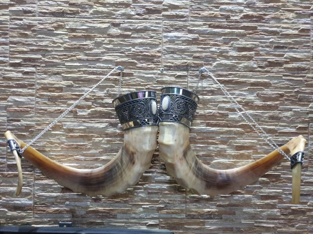 Amazing Drinking Wine Argali Horn Pair - Etsy