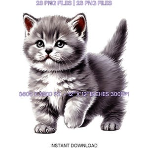 23 British Shorthair Kitten PNG Clipart, Watercolor Pet Card Making ...