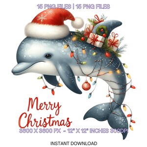 15 Merry Christmas DOLPHIN PNG Clipart | Ocean Sea Animals | Santa ...