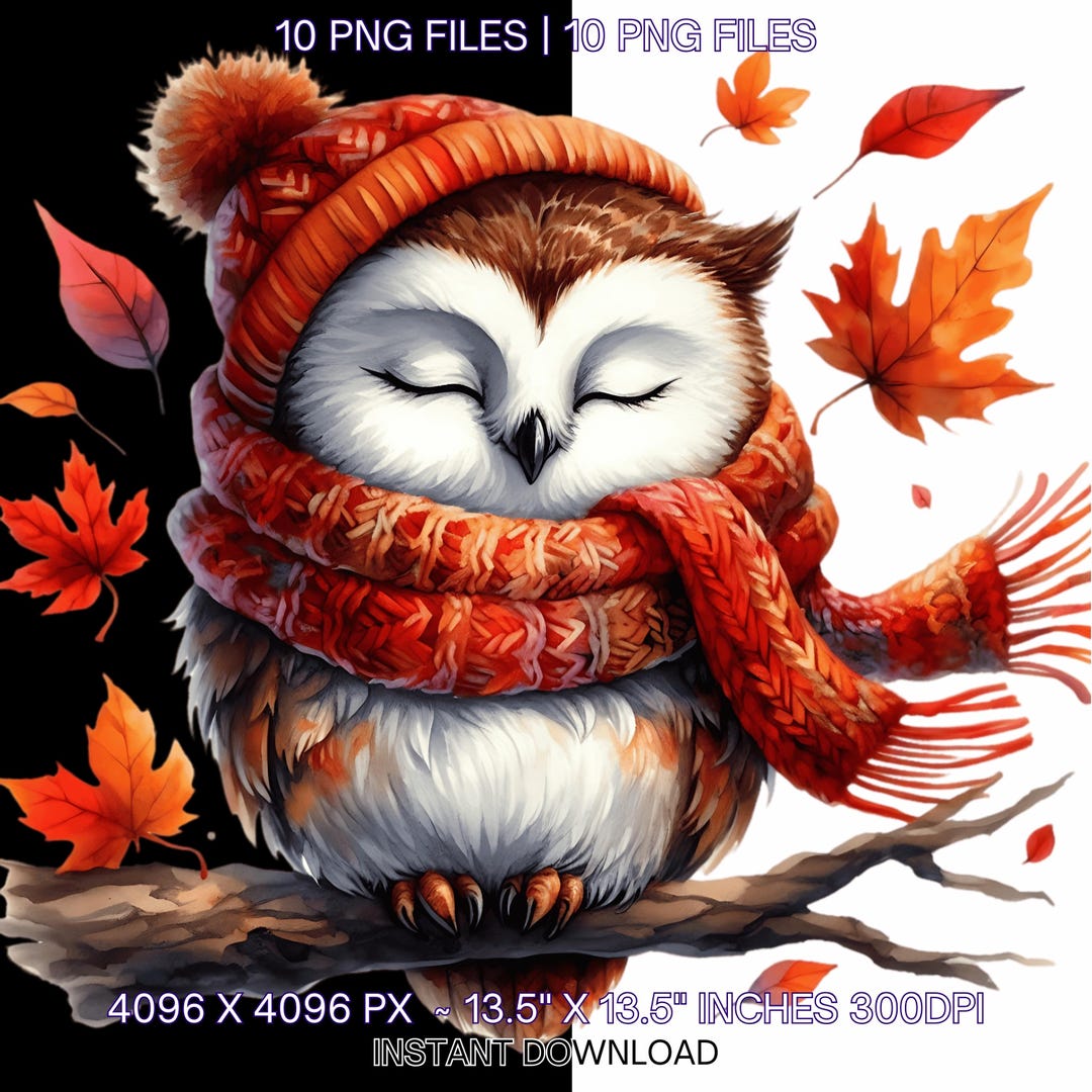10 Cute Fall Owl Clipart PNG | Owl Fall Clipart | Autumn Owl Bird ...