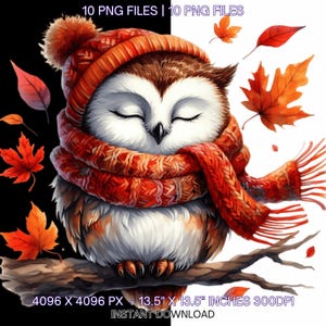 10 Cute Fall Owl Clipart PNG Owl Fall Clipart Autumn Owl Bird Clipart ...