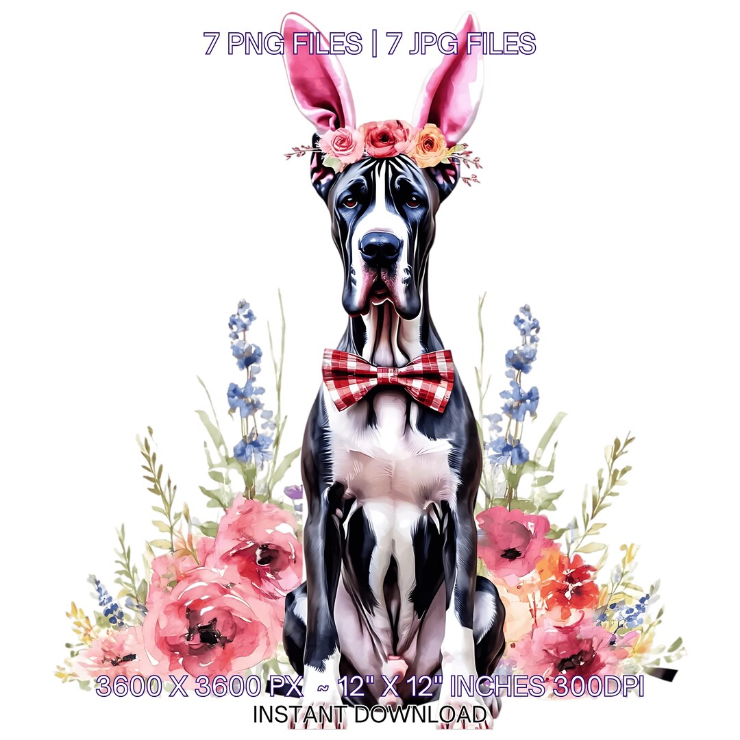 Easter Great Dane Dog Wearing Floral Bow & Bunny Ear Handband Ready for ...