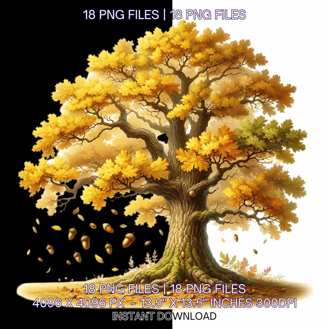 18 Fall Tree Leaves PNG | Oak Tree Leaves Acorns Clipart Bundle ...