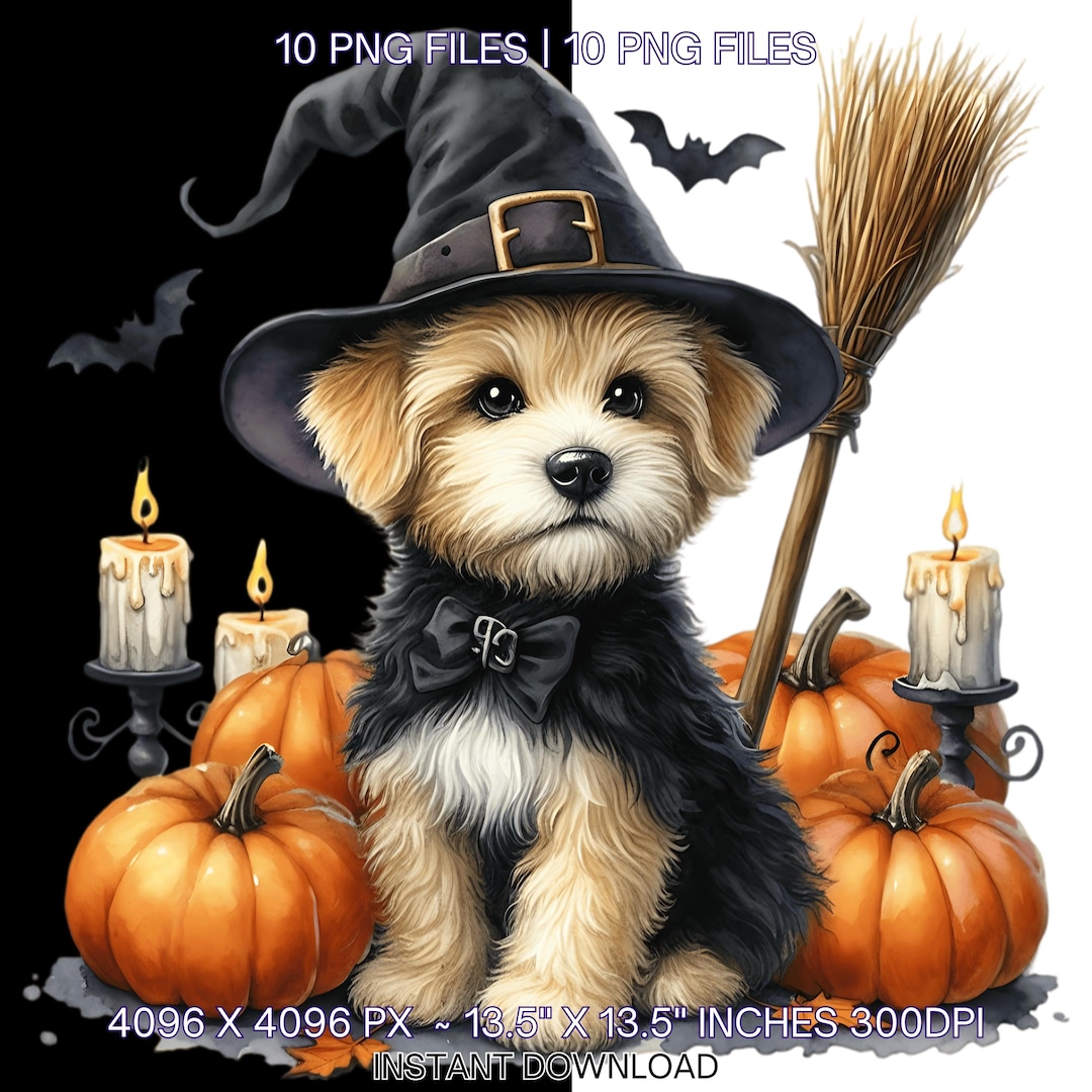 10 Witch Dog PNG | Cute Halloween Dogs Clipart | Spooky Dogs With a ...