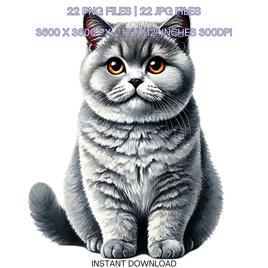 22 British Shorthair Cat PNG Clipart, Watercolor Pet for Card Making ...