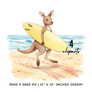 Summer Kangaroo Clipart PNG | 4 Watercolor Kangaroo Bouncing on Dusty ...