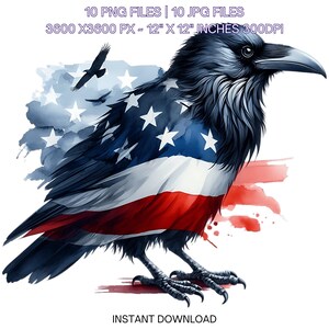 RAVEN Flag PNG | 10 Patriotic USA Crow Flag Clipart | Bird Raven ...