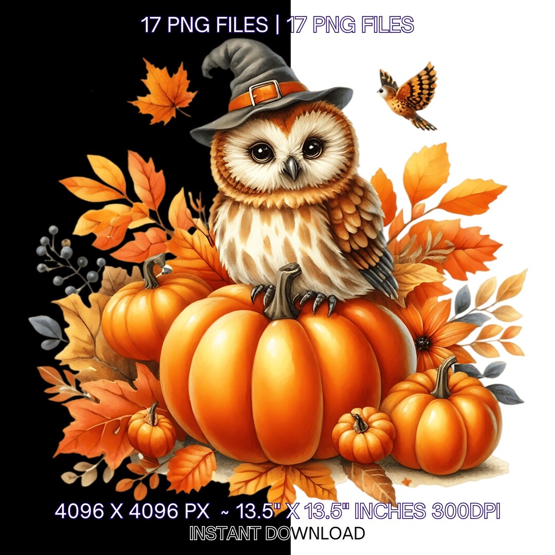 17 Fall Owl Clipart PNG | Owl Fall Clipart | Autumn Owl Bird Clipart ...