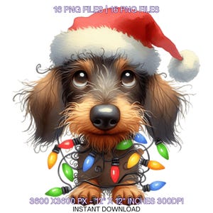 16 Cute Dachshund Puppy Dog With Santa Hat and Christmas Lights Clip ...