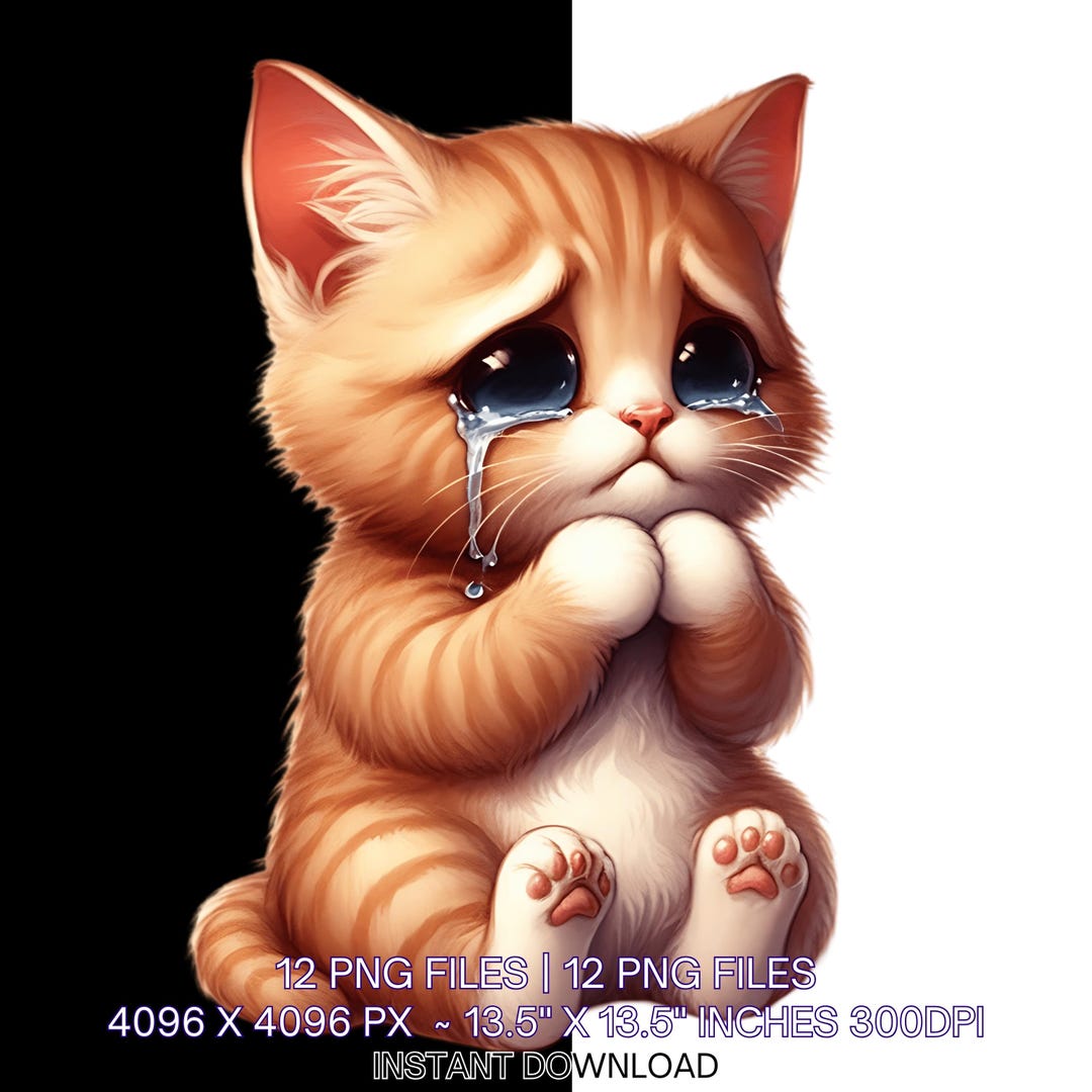 12 Crying Cat Clipart Crying Cat PNG Crying Cat PNG Bundle Crying Pet ...