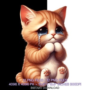 12 Crying Cat Clipart | Crying Cat PNG | Crying Cat PNG Bundle | Crying ...