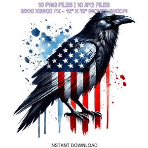 RAVEN Flag PNG | 10 Patriotic USA Crow Flag Clipart | Bird Raven ...