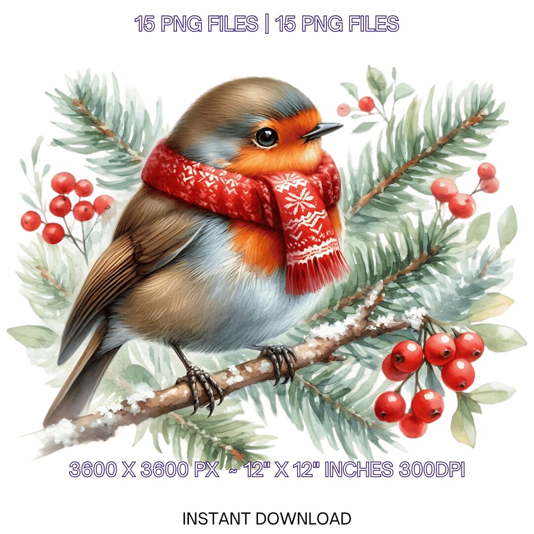 Christmas Robin Birds Clipart PNG, Watercolor Papercraft (digital ...