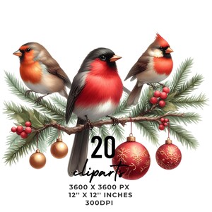 19 Trio Christmas Birds Clipart PNG, Printable Watercolor Papercraft ...