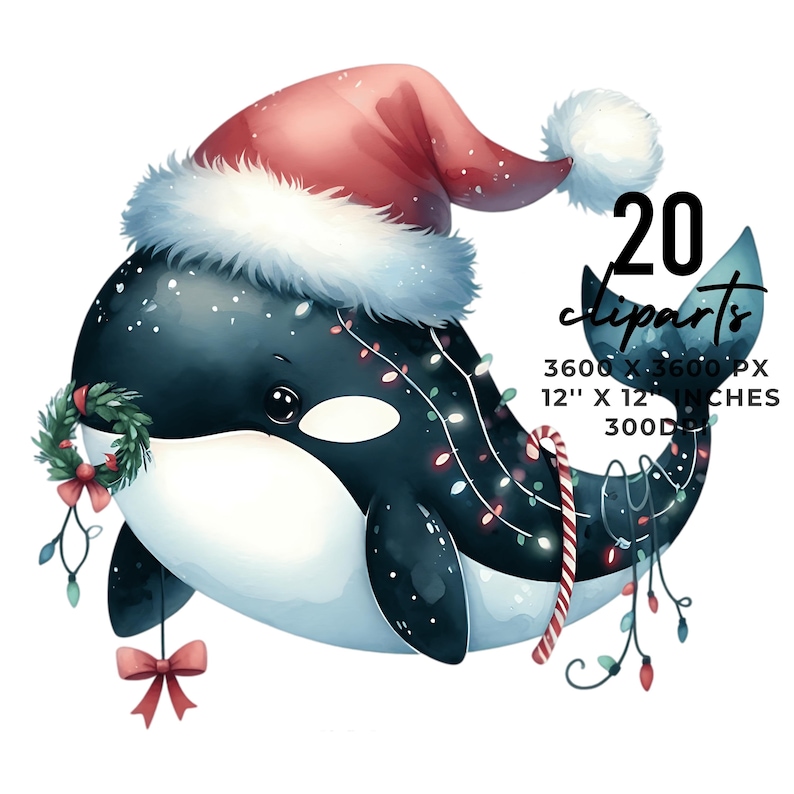 20 Whale Orca PNG Clipart | Christmas Whale | Ocean Sea Animals | Santa ...