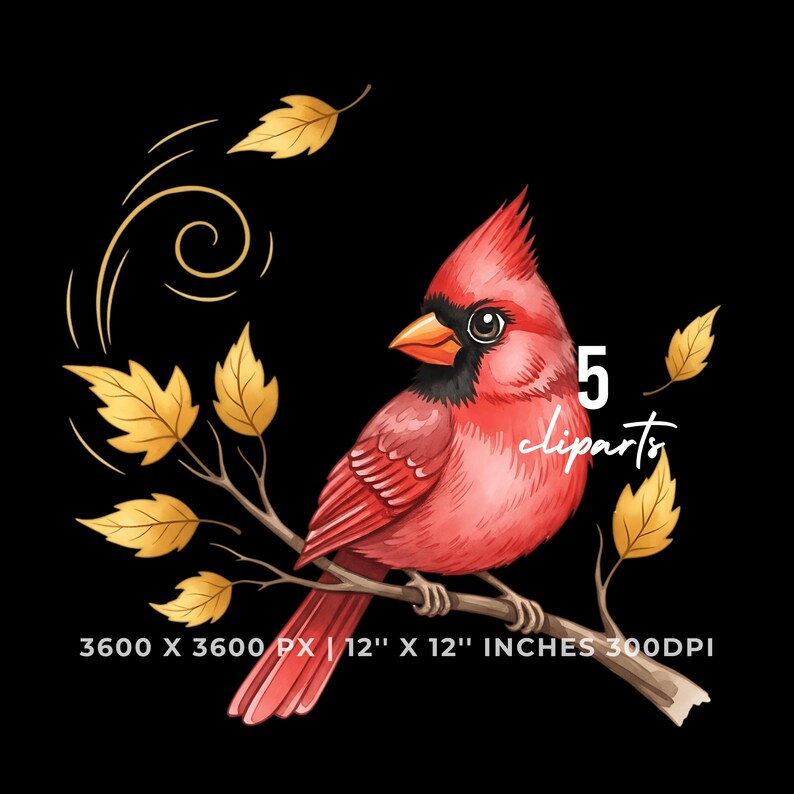 Cardinal Bird Clipart: Fall Leaves Swirl, Autumn Illustration (PNG ...