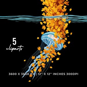 Autumn Jellyfish Clipart: Fall Ocean PNG JPG Art (digital Download ...