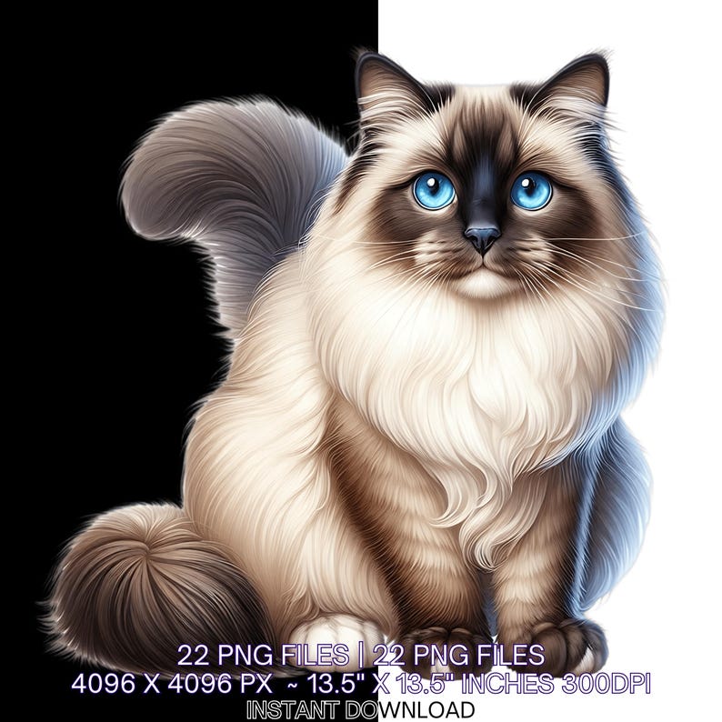 22 Cat Breeds Clipart Bundle Cats Clipart Pet Animals Clipart ...