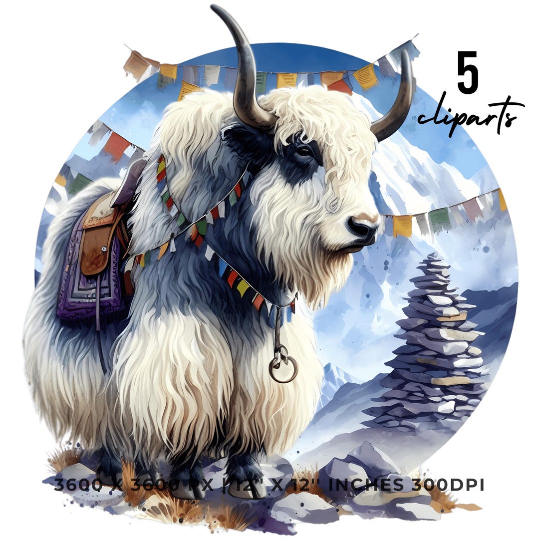 Yak Clipart PNG | 5 Watercolor Furry Yak Standing in a Himalayan Snowy ...
