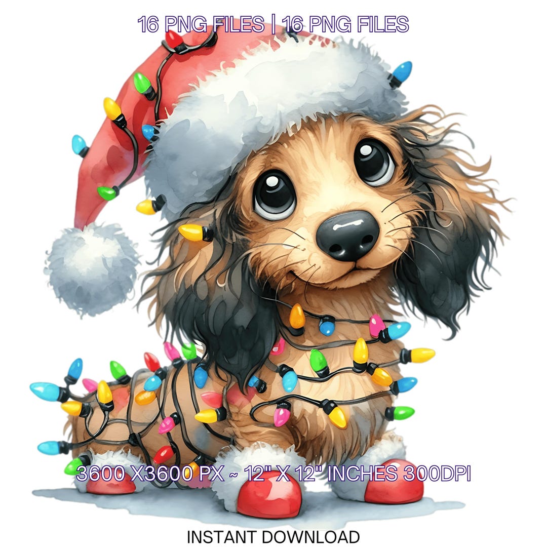 16 Cute Dachshund Puppy Dog With Santa Hat and Christmas Lights Clip ...