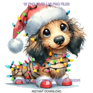 16 Cute Dachshund Puppy Dog With Santa Hat and Christmas Lights Clip ...