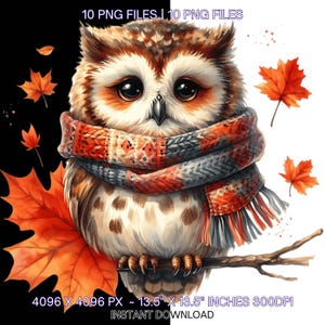 10 Cute Fall Owl Clipart PNG Owl Fall Clipart Autumn Owl Bird Clipart ...